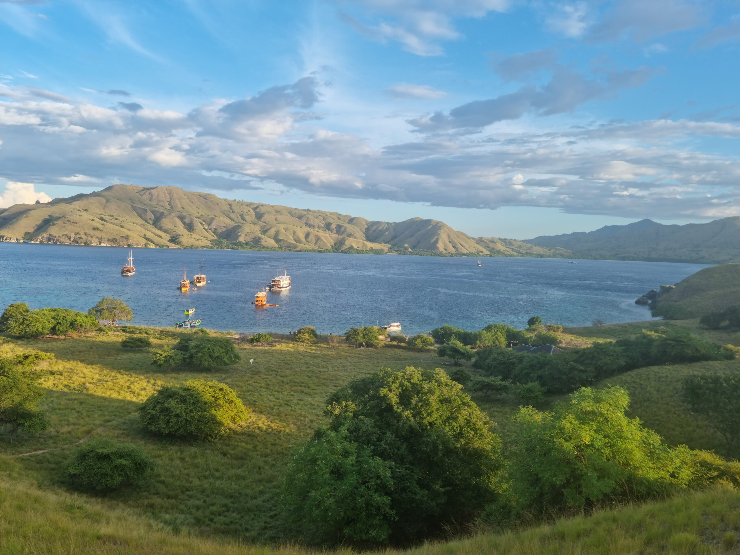 Luxury Komodo Explorer | Pioneer Expeditions